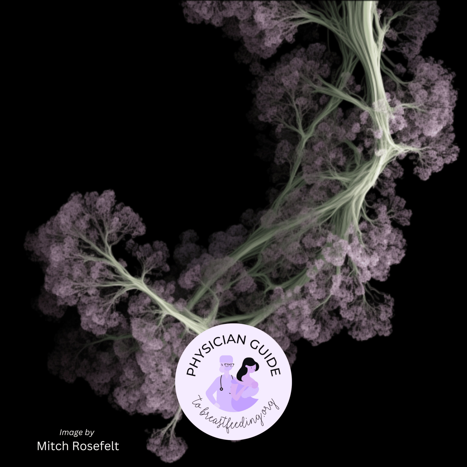 Mastitis, Engorgement, and Breast Complications (with Images)
