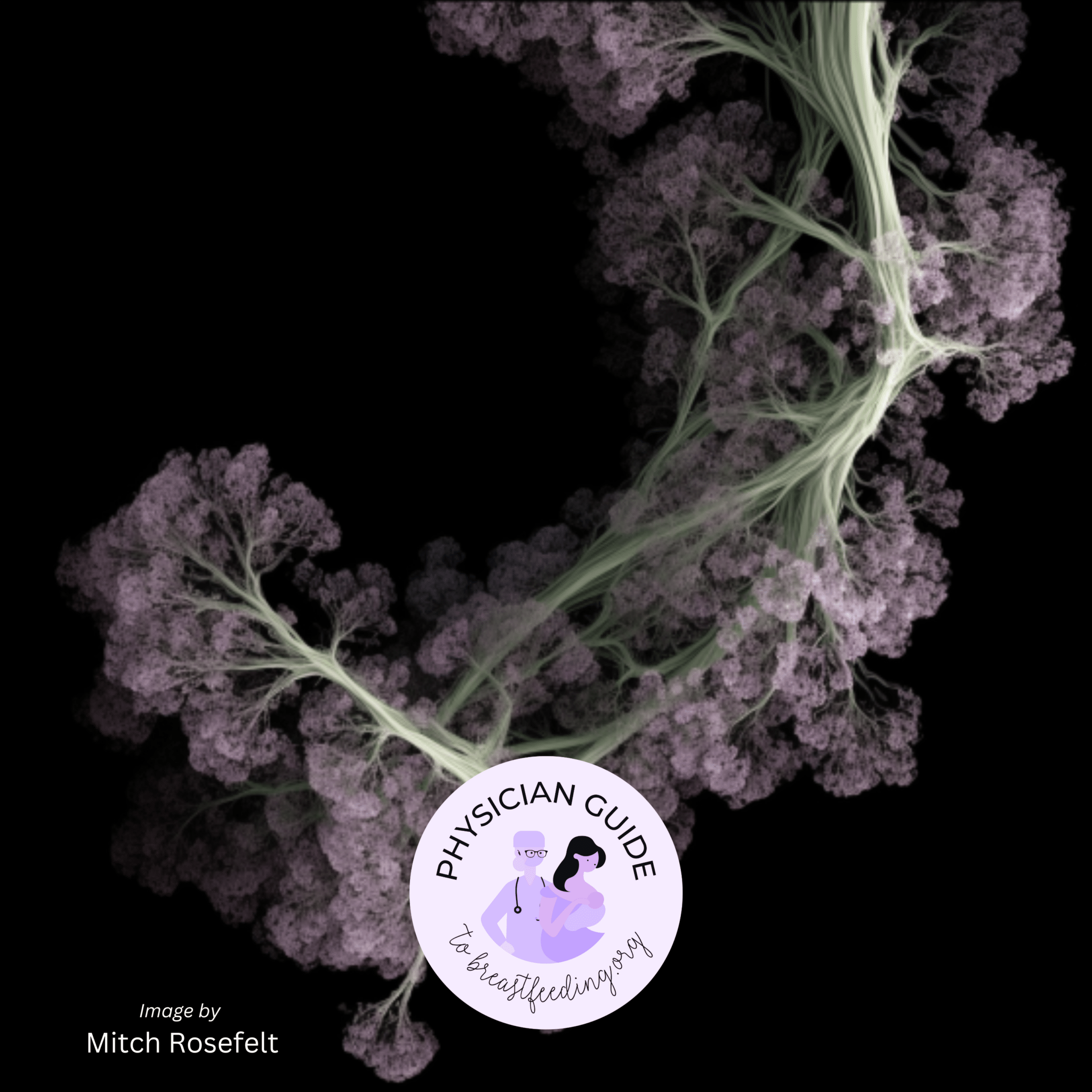 Mastitis, Engorgement, and Breast Complications (with Images)